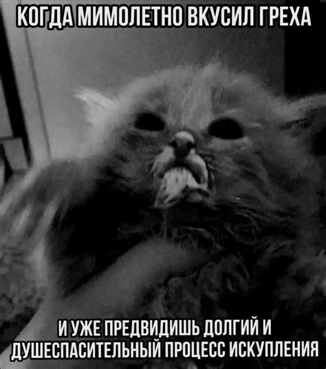 пРиКоЛы ДлЯ дАуНоВ кот разное картинки гифки прикольные комиксы интересные статьи по