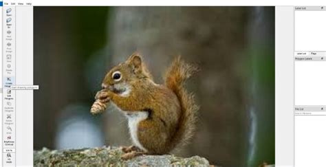 Github Rammohanbethi Custom Instance Segmentation