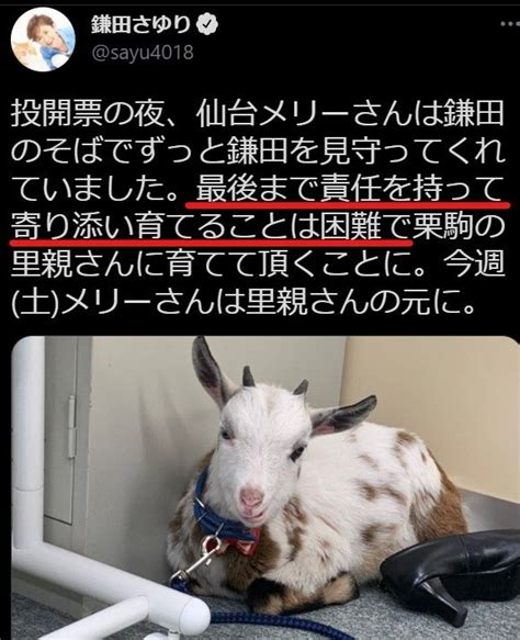 動物愛護法とは くまだくまこのお魚blog