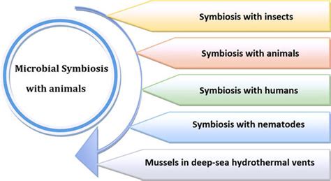 Microbes As Artists Of Life Intechopen