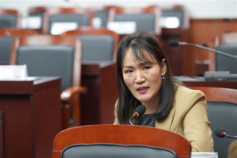 Баянгол ИТХ ДЭД БҮТЭЦ НОГООН ХӨГЖЛИЙН ХОРОО ХҮНИЙ ХӨГЖИЛ ӨРХИЙН ОРЛОГЫГ ДЭМЖИХ ХОРООД ХУРАЛДЛАА