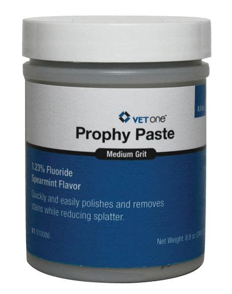 Prophy Paste Spearmint Flavor Medium Grit 250gm Vetone 51008