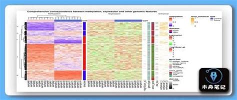 R Complexheatmap