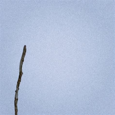 Fragile Era Custom Art Part 2 R Nin