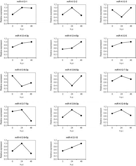 Expression Kinetics Of Kshv Mirnas After Treatment Of Sodium Butylate