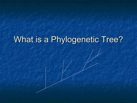 What Is A Phylogenetic Tree Ppt