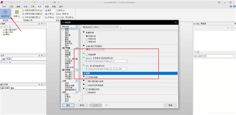 Plsql Developer12 64位连接本地oracle 11g 64位数据库plsql Developer 12 64 Bit