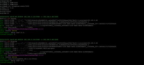 Roberto Lucchetti Using Sngrep