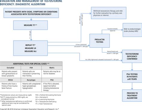 Evaluation And Management Of Testosterone Deficiency Aua Guideline