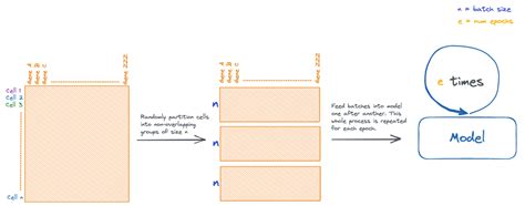 Deep Learning Explainer A Simple Single Cell Classification Model