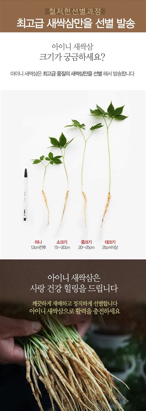 상세페이지 식품 아이니 새싹삼 상세페이지입니다 상세페이지 포트폴리오 크몽