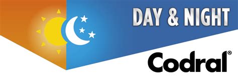 Buy Codral Pe Day And Night Tablets 48 Pack Online At Chemist Warehouse®