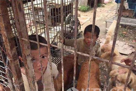 人贩子诱骗小孩反被抓，小孩的回答让所有人沉默了