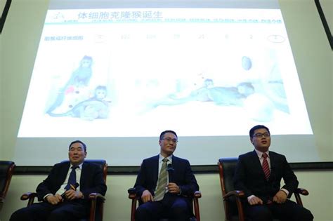 （科技）（1）中國科學院公布體細胞克隆猴研究成果 每日頭條