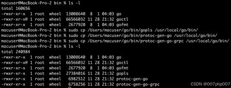 Go语言的zero框架下goctl的安装与配置以及使用goctl安装 Csdn博客