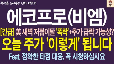 에코프로비엠 주가전망 美 새벽 저점 이탈 폭락추가 급락 가능성 오늘 주가 이렇게 됩니다 주주님들 꼭 시청하세요 에코프로 에코프로비엠 Youtube