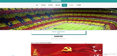 Springbootvue足球俱乐部系统【开题程序论文】boot足球俱乐部管理系统开题报告 Csdn博客