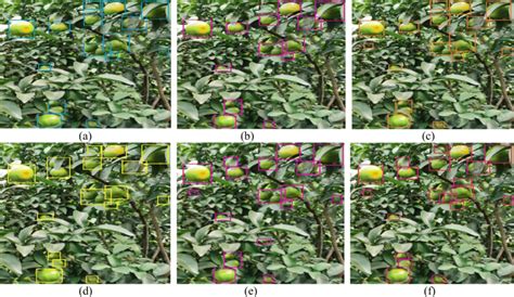 Tangerines Detection Results In The Six Test Methods A Faster RCNN