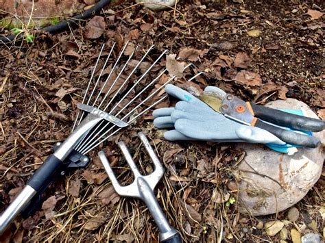 10 Mistakes To Avoid When Clearing Brush Colonel Landscaping