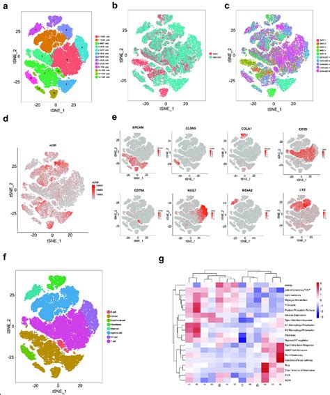 Overview Of The 60 459 Single Cells From Five Ggn Adc Samples And Five