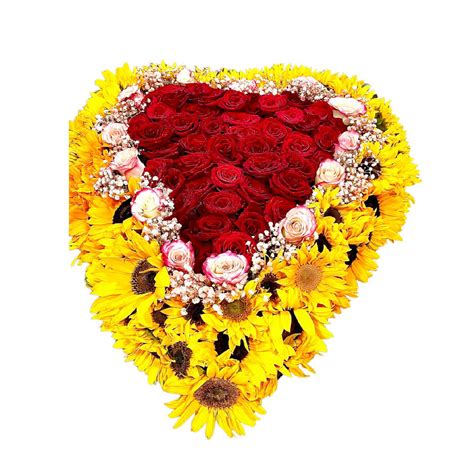 Corazón Gigante Diorita