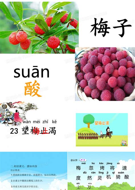 23望梅止渴PPT模板下载 编号qzxrwvym 熊猫办公