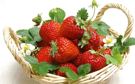 Strawberry Wallpapers Wallpaper Cave