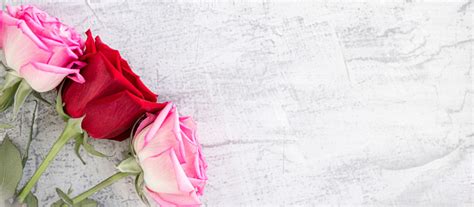 텍스트 공간이있는 흰색 돌 질감에 장미 꽃다발배너 발렌타인 데이를위한 낭만적 인 선물 발렌타인 데이 컨셉 0명에 대한 스톡 사진 및 기타 이미지 Istock