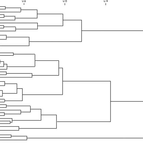 Dendrogram Of Rice Samples Using Euclidean Distance And Incremental Download Scientific Diagram