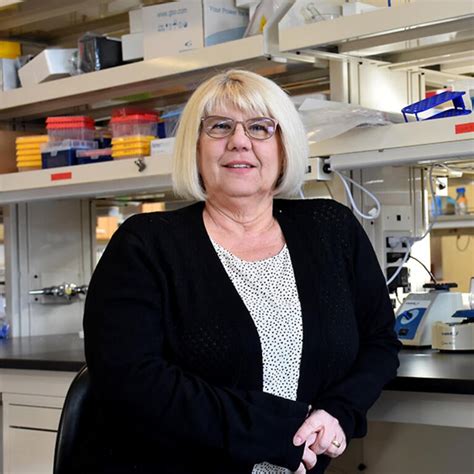 Latest News Articles School Of Medicine News