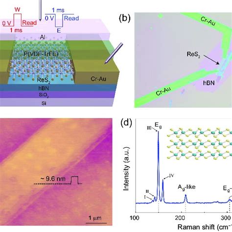 Composition Diagram Of A Multilayered Res 2 Fefet Device A 3d