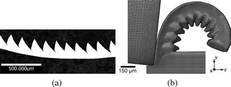 A Optical Image Of The Chip Cross Section B Chip Formation Of The Fem