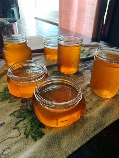 Dandelion Jelly Nutmeg Disrupted