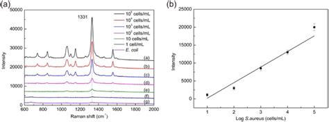 A Sers Spectra Taken From The Aptamer Recognition Sensing Platform Download Scientific