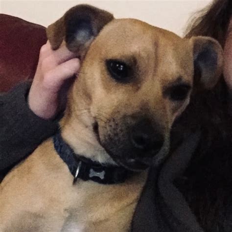 Hannah Beard Youtube