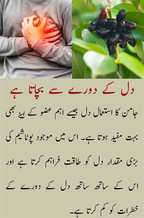 Amazing Medicinal Benefits Of Java Plum Jamun Ladies Health Life