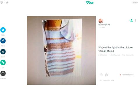 5 Vines Para Entender El Efecto Del Vestido Ciudadanos La Voz Del