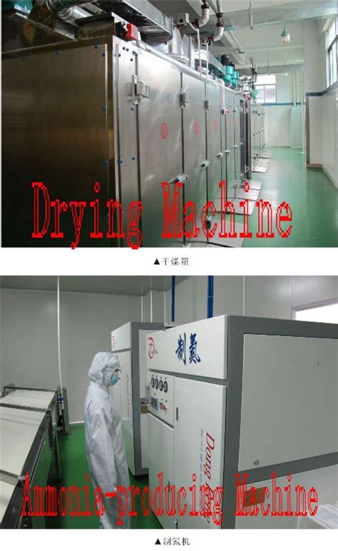 Sweet Plumchina Treasure Flavour Food Price Supplier 21food