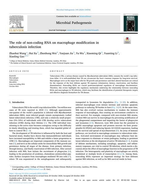 pdf the role of non coding rna on macrophage modification in