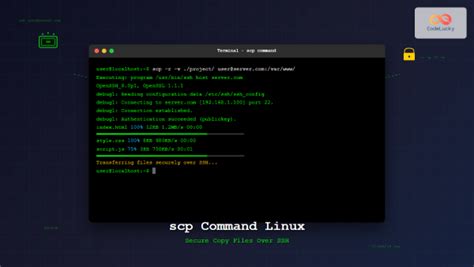 Ssh Copy Id Linux Complete Guide To Copying Ssh Keys To Remote Servers Codelucky