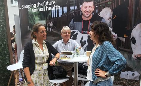 Rajesh Kumar Rajaram On Linkedin Cattle