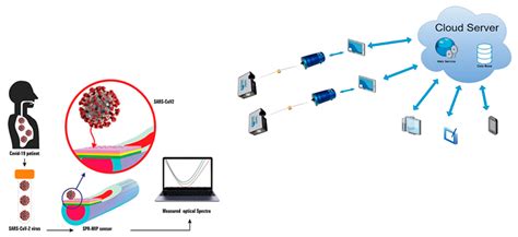 Toward The Development Of Plasmonic Biosensors To Realize Point Of Care