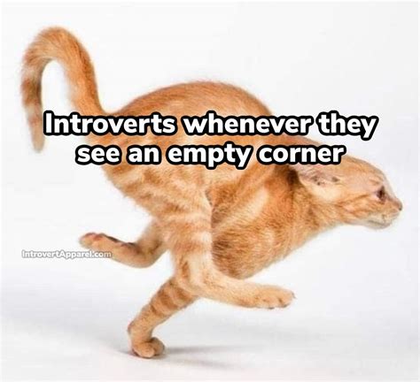 Instagram Photo By Introvert Memes • Jan 12 2025 At 1130 Am