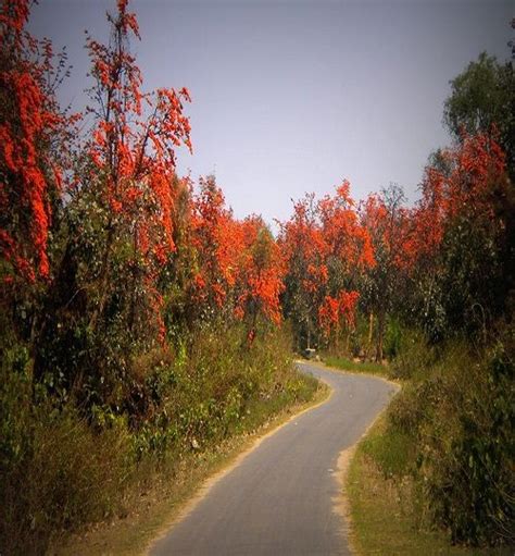Gallery Purulia Tourism