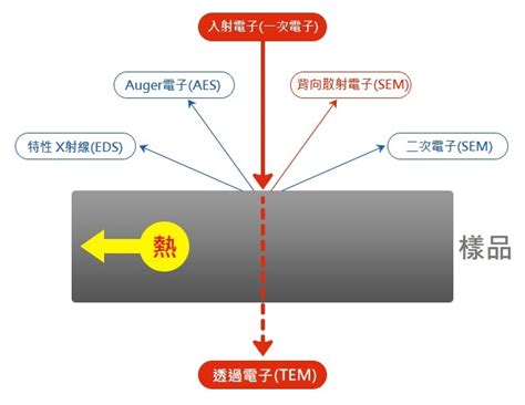 關於sem掃描式電子顯微鏡技術 概述