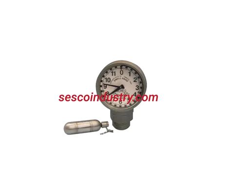 Clock Gauge