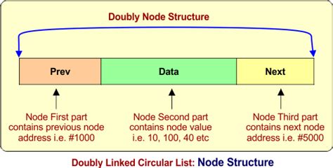 Doubly Linked Circular List Cs Taleem