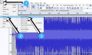 Can Audacity Convert MP To MP Full Guide