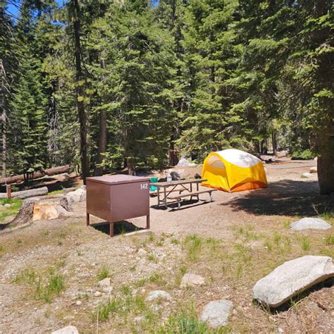 Sentinel Campground Kings Canyon National Park Park Ranger John