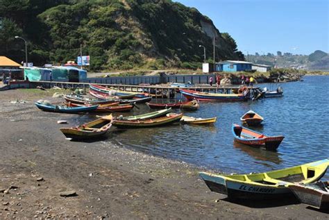 14 Caletas Que Se La Juegan Por Ser Las Mejores De Chile